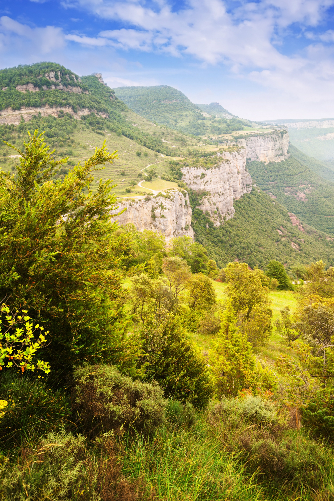 Pieniny – góry i ich atrakcje turystyczne - Wzgórza